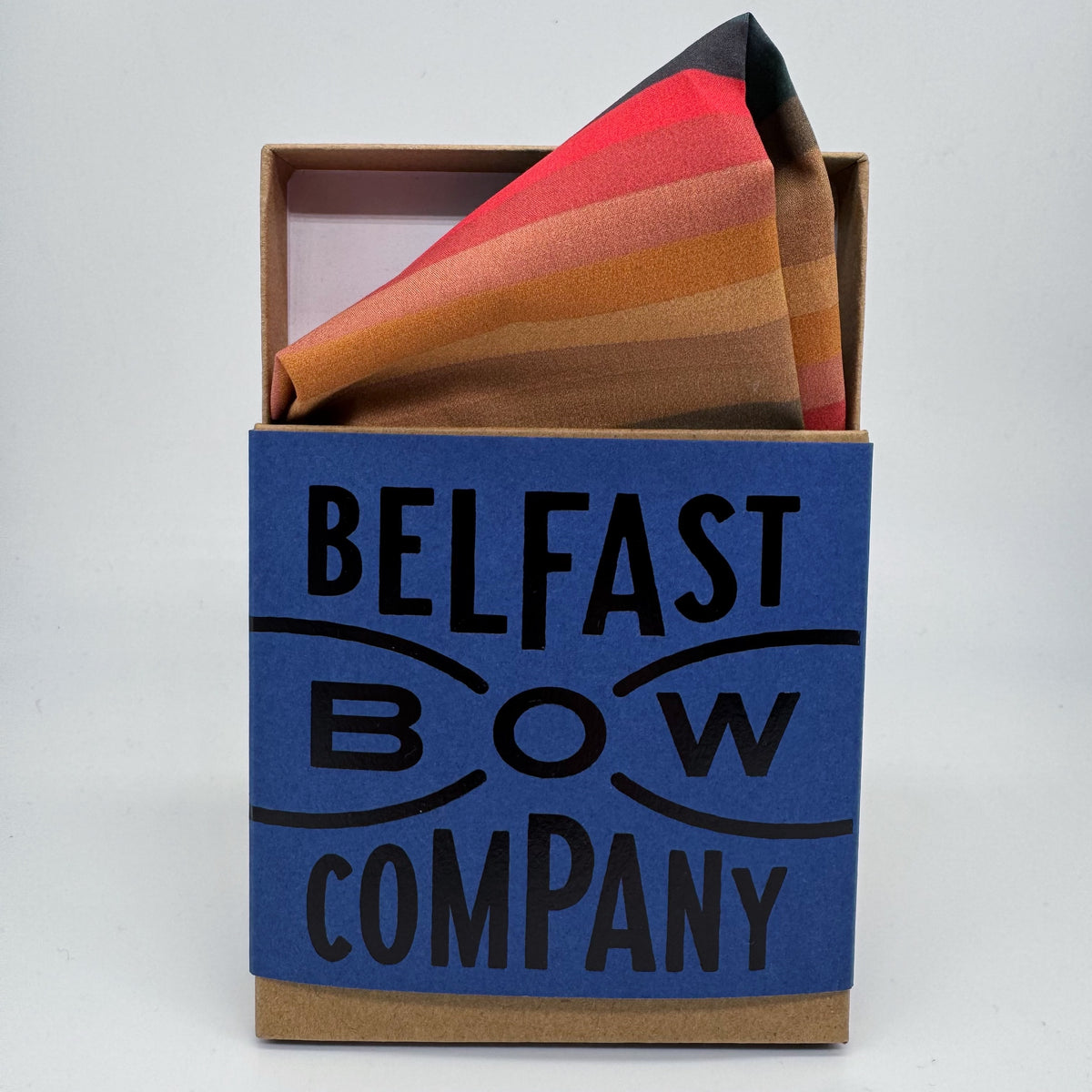 Doctor Who Pocket Square in Rainbow Stripe - Belfast Bow Company
